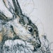 Spring Hare Pen and Ink Illustration Print Limited Edition - Etsy