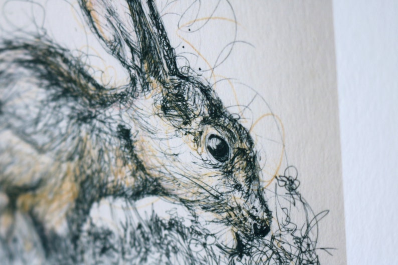 Spring Hare Pen and Ink Illustration Print Limited Edition - Etsy