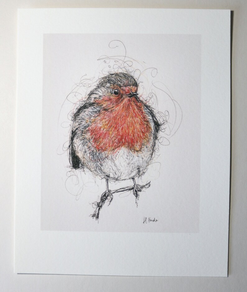 10 X 8 Robin Pen and Ink Illustration Print Limited Edition - Etsy UK