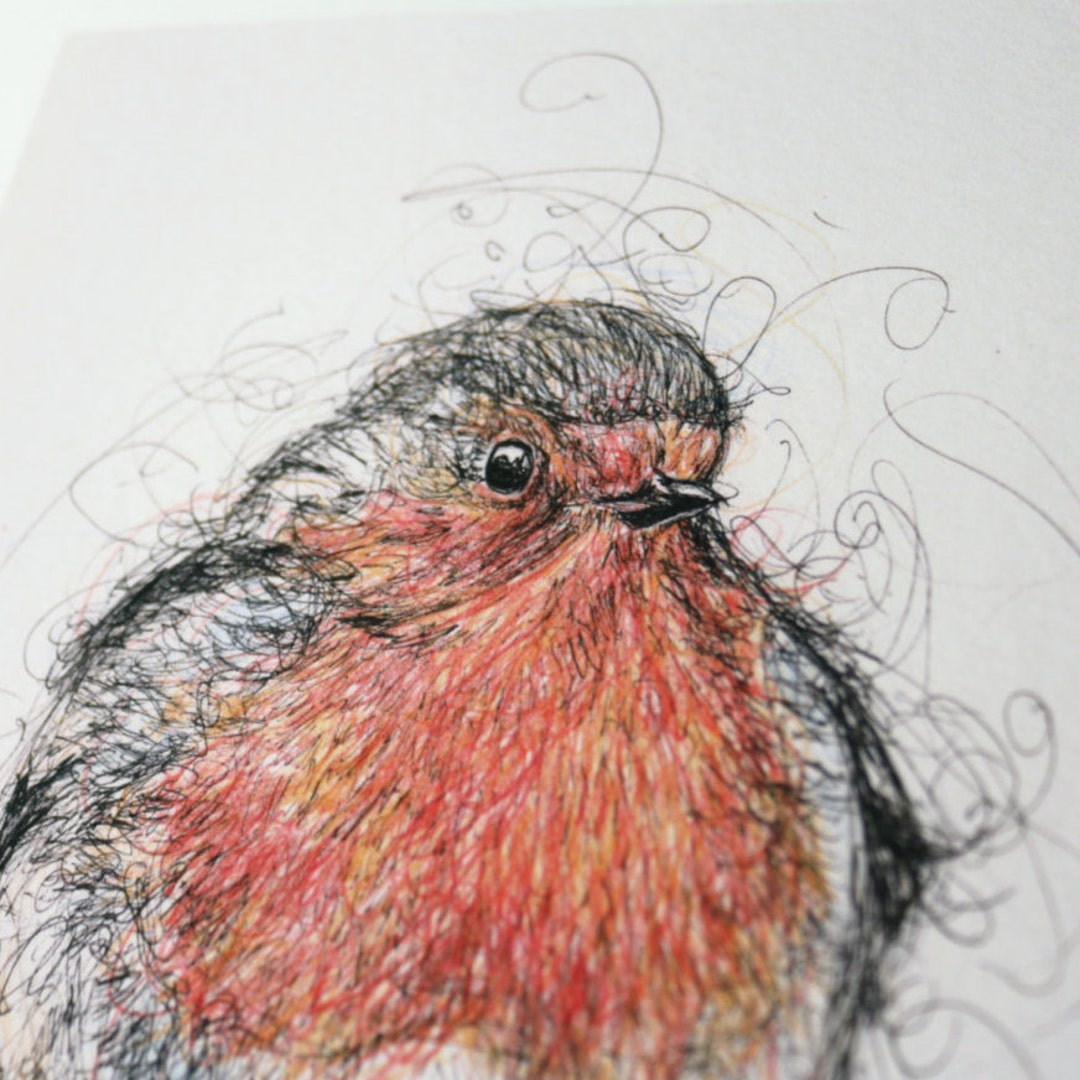 10 X 8 Robin Pen and Ink Illustration Print Limited Edition - Etsy