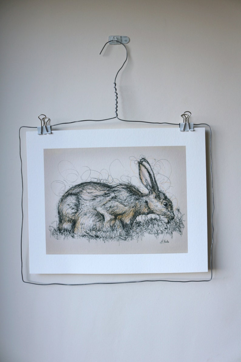 Spring Hare Pen and Ink Illustration Print Limited Edition - Etsy