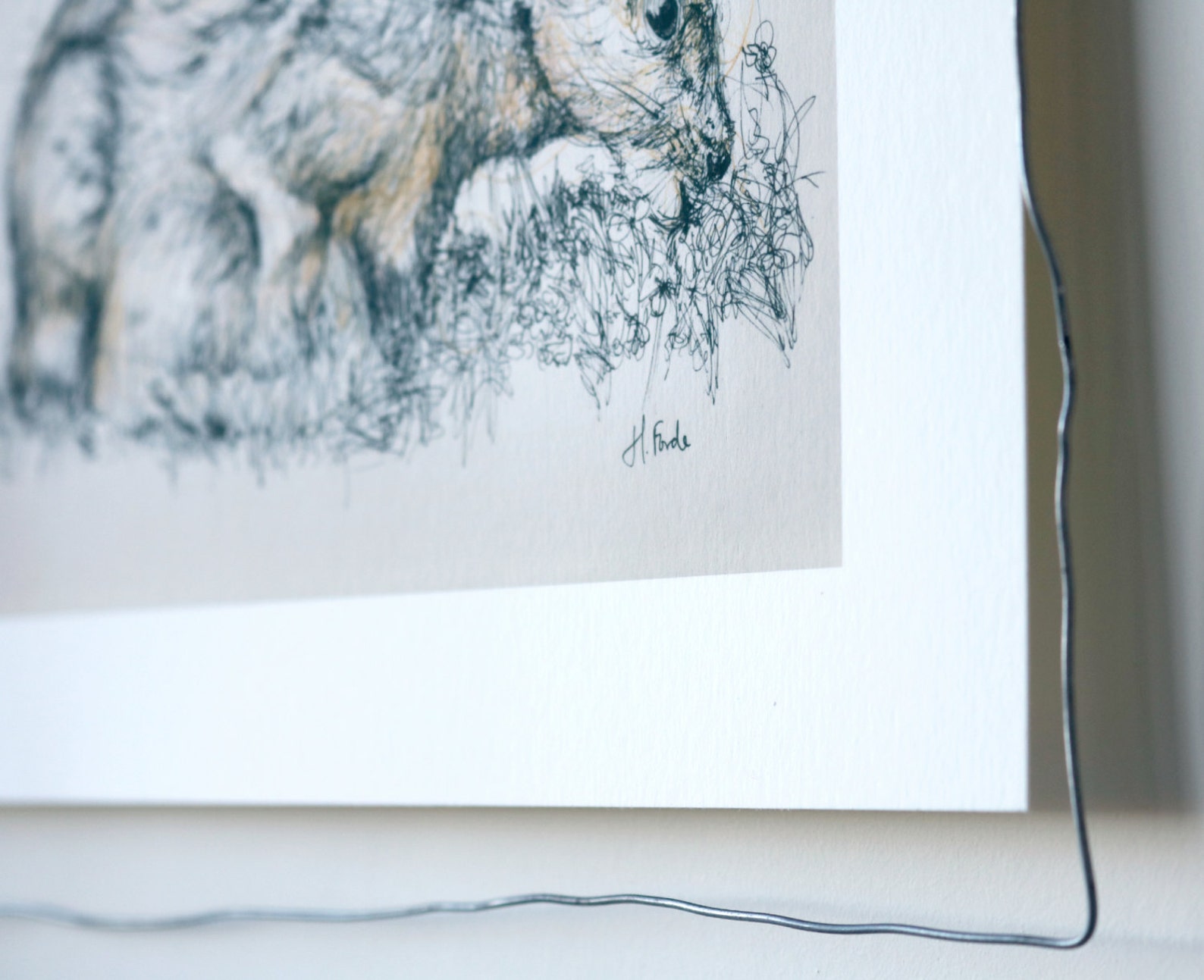 Spring Hare Pen and Ink Illustration Print Limited Edition - Etsy UK