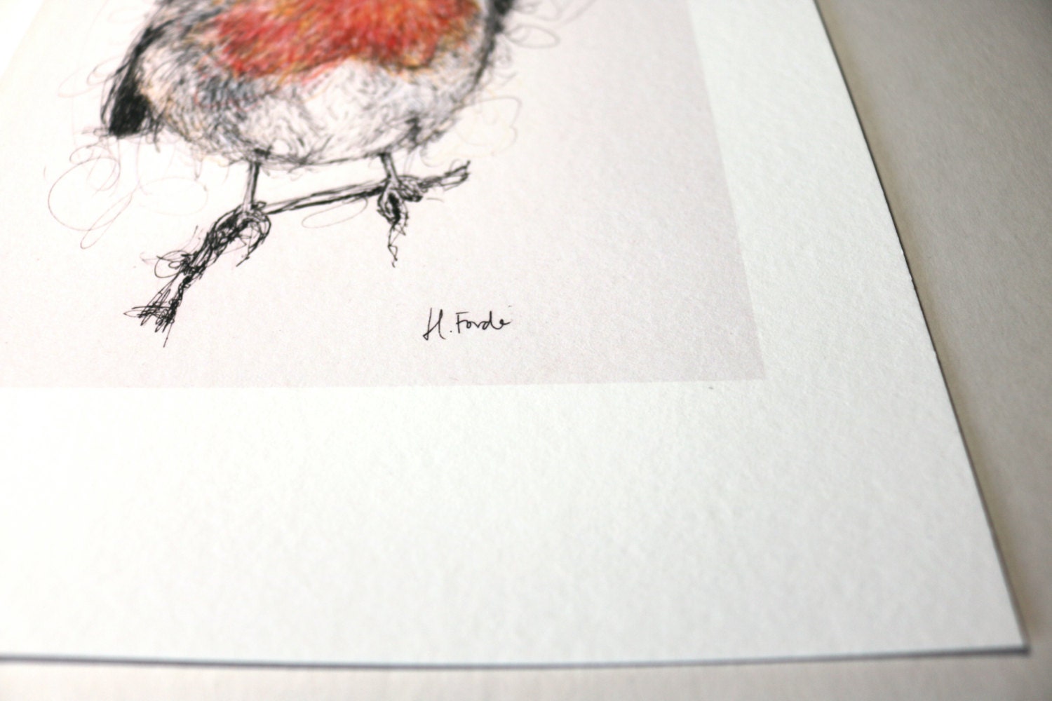 10 X 8 Robin Pen and Ink Illustration Print Limited Edition - Etsy