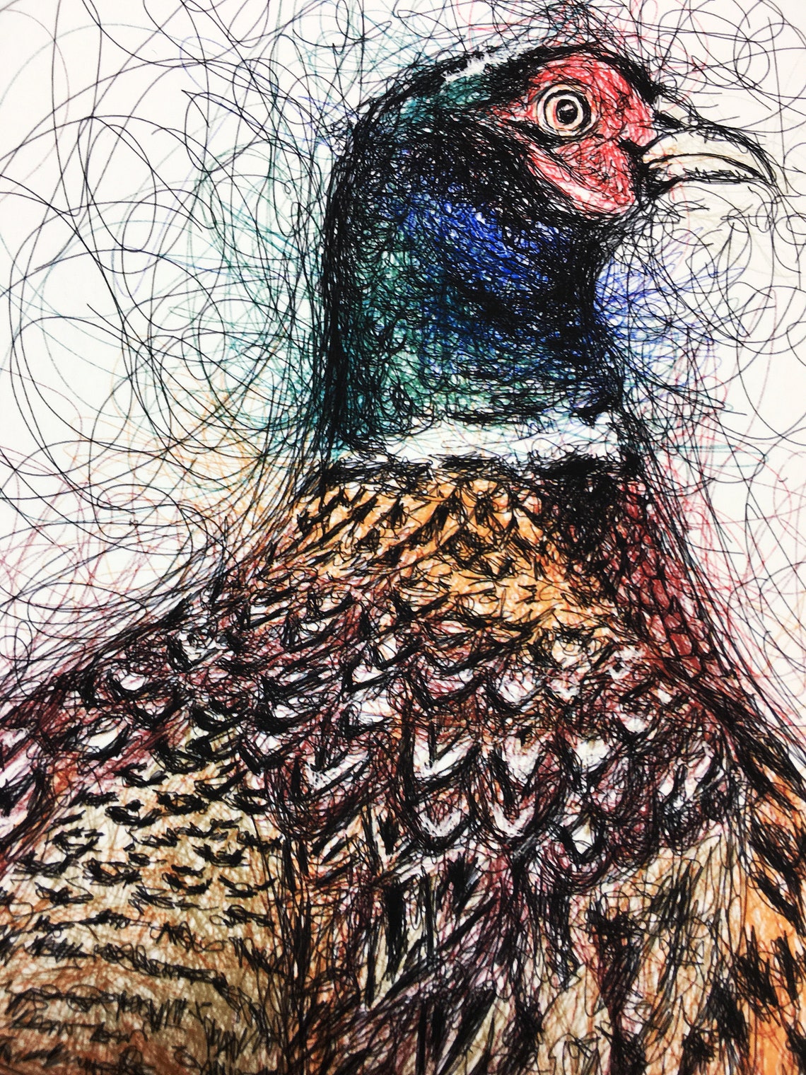 Pheasant A3 Pen and Ink Illustration Print Limited Edition - Etsy