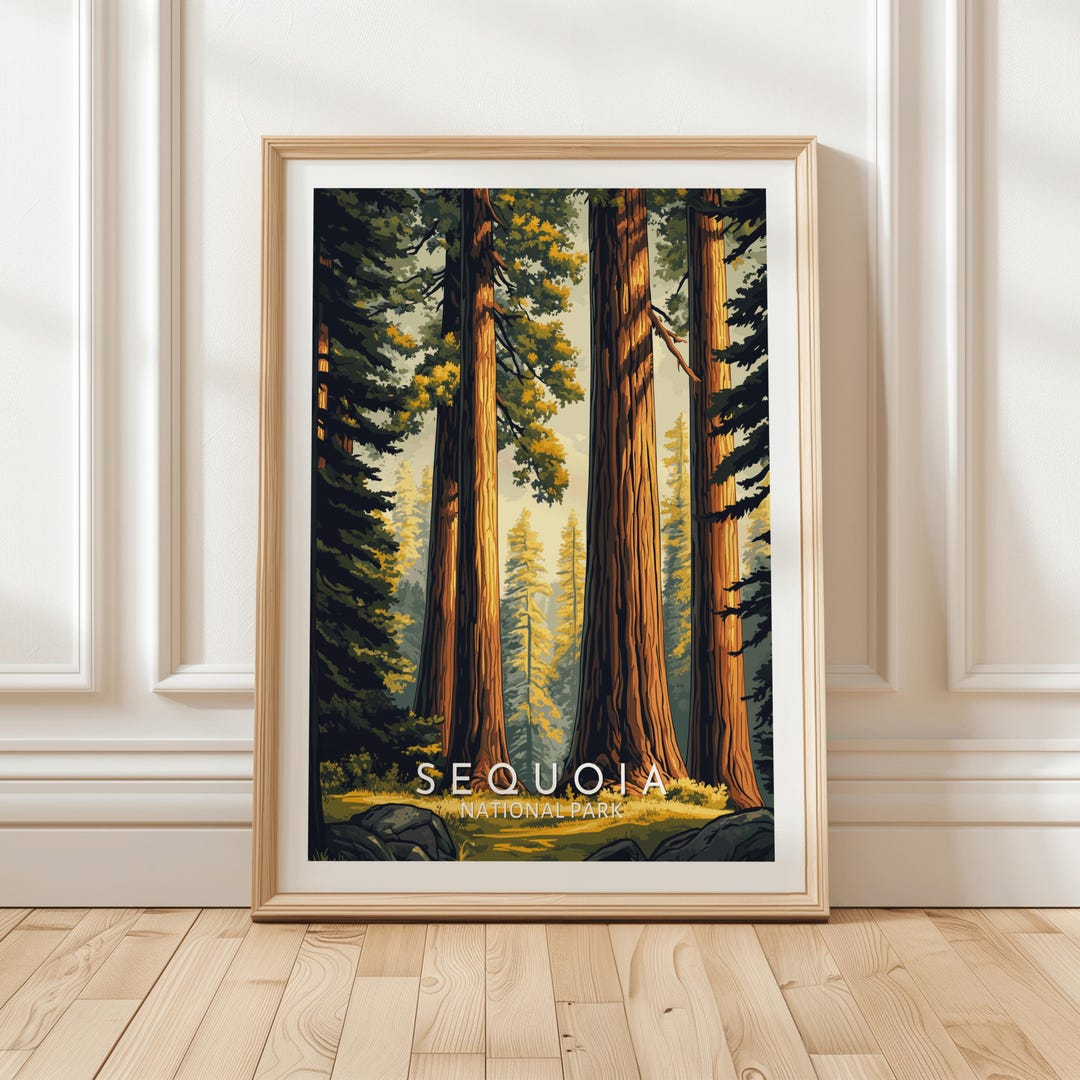 Sequoia National Park Poster Featuring Towering Redwoods in Warm Golden ...