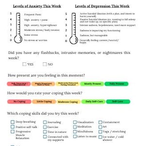 Digital Trauma-informed Therapy Check-in Template for Clients: Assess ...