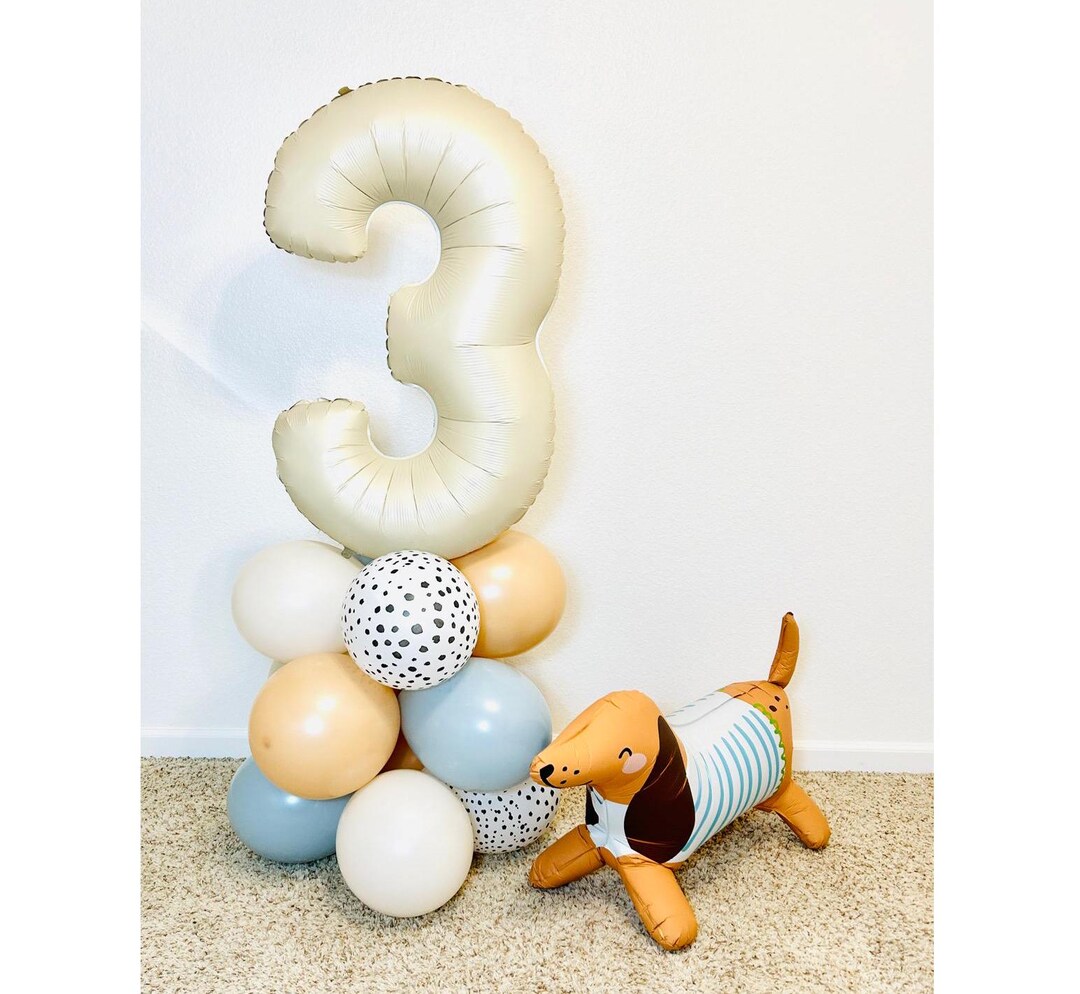 Dachshund Balloon Doxie Dog Weenie Dog Puppy Party Lets Pawty Dog ...