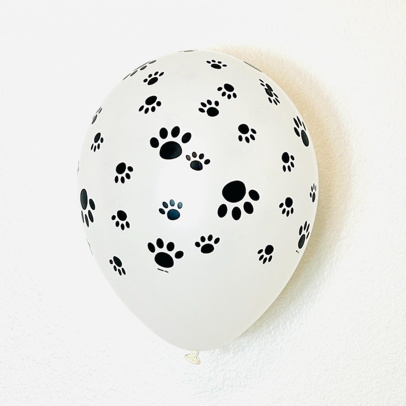 Latex Dog Balloon - Etsy