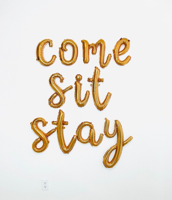 Come Sit Stay Banner, Puppy Birthday, Puppy Birthday Party, Puppy Party ...