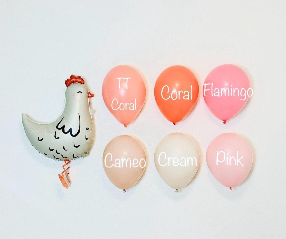 Chicken Balloon This Chick is One Farm Birthday One Cool Chick Birthday ...