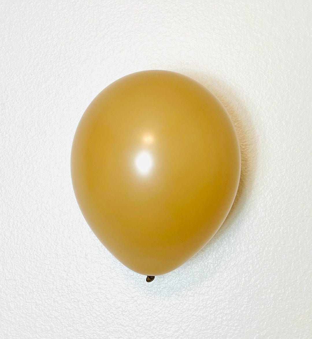 LATTE Balloon Sempertex Latte Balloon Latte Latex Balloon Light Brown ...
