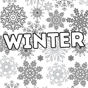 The Seasons- Coloring Sheet - Etsy