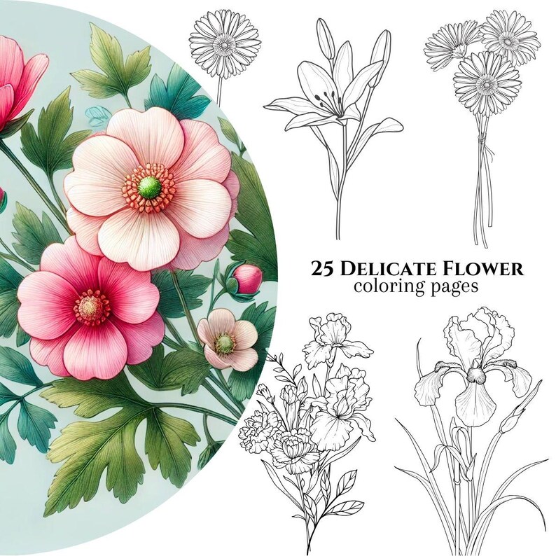 25 Delicate Flower Coloring Pages, Flower Coloring Book, Adult and Kid ...