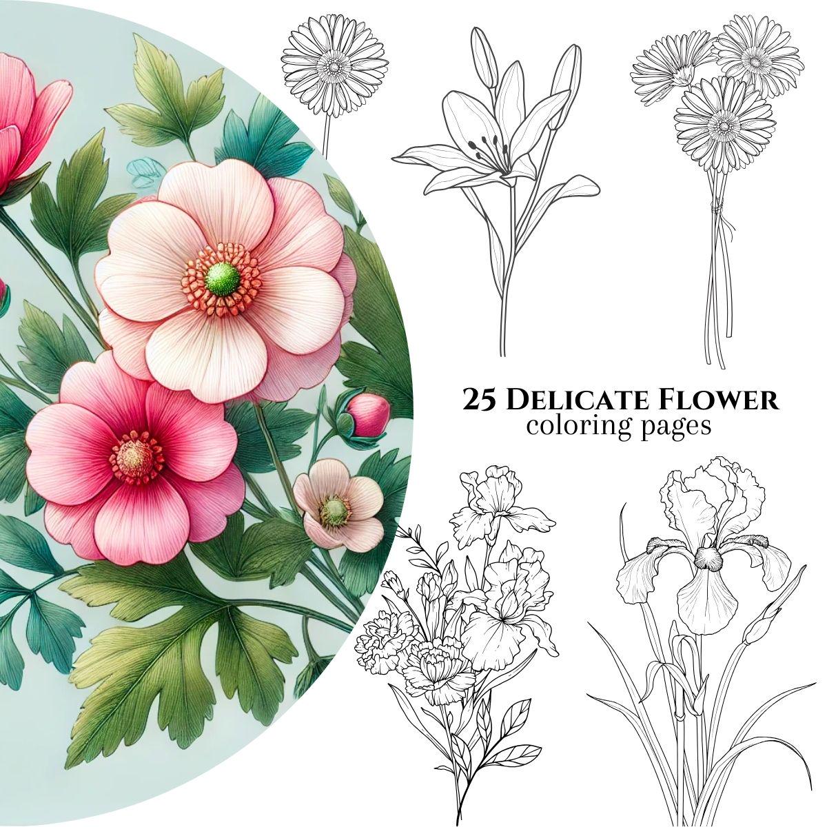 25 Delicate Flower Coloring Pages, Flower Coloring Book, Adult and Kid ...