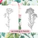 25 Delicate Flower Coloring Pages, Flower Coloring Book, Adult and Kid ...