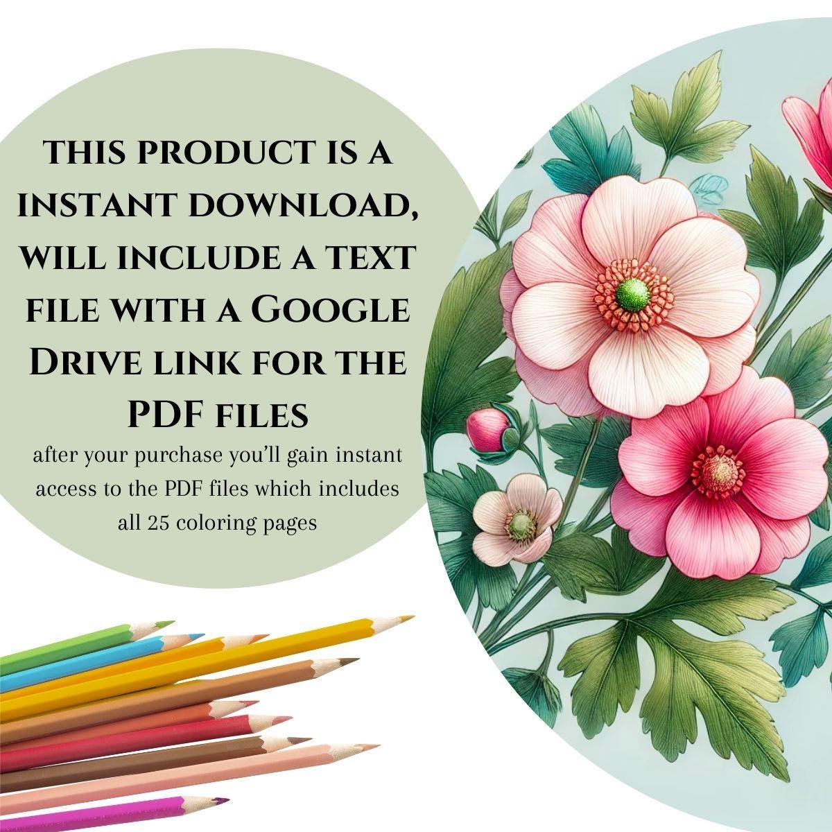 25 Delicate Flower Coloring Pages, Flower Coloring Book, Adult and Kid ...