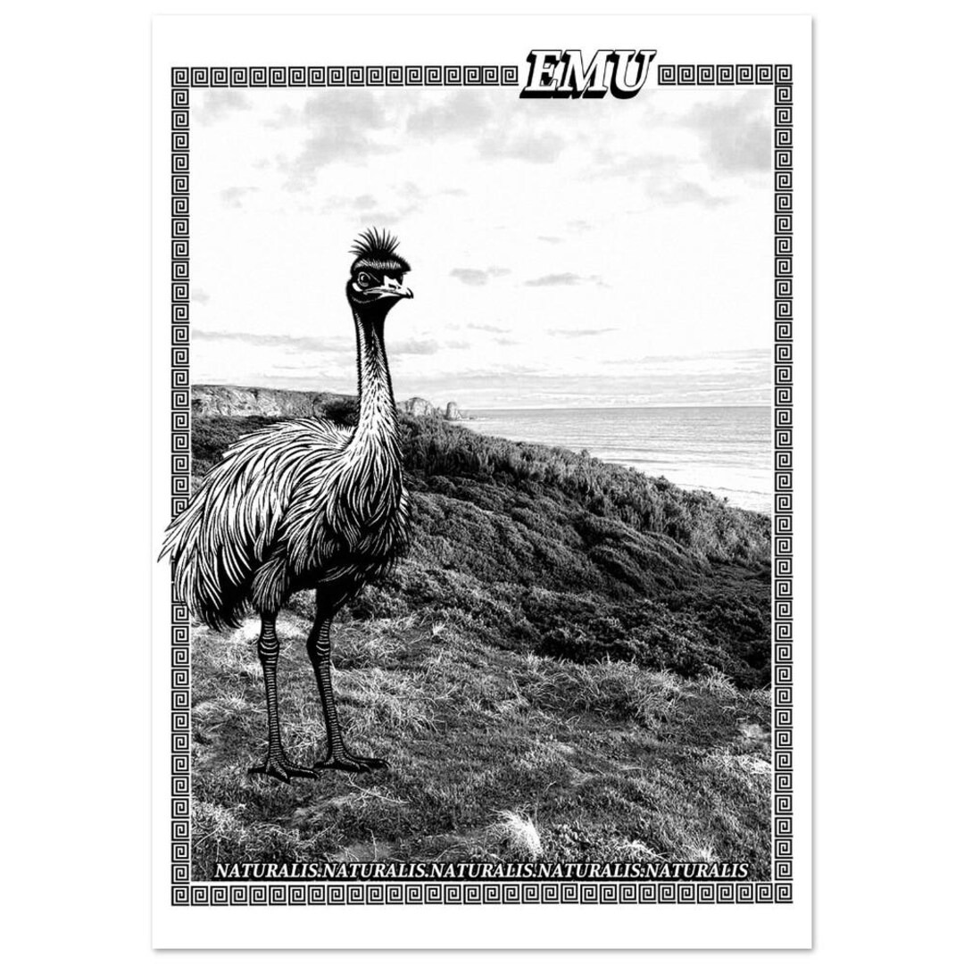 Emu Unframed Poster - Etsy
