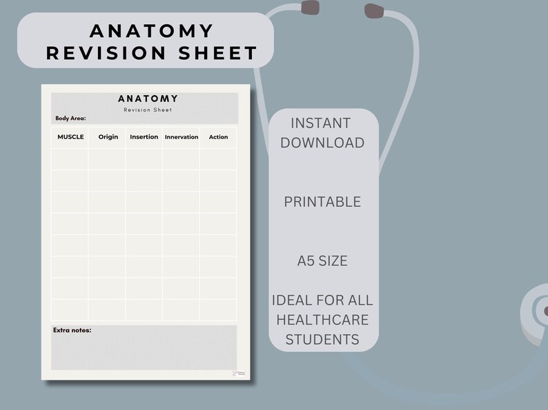 Muscle Anatomy Revision Template for Medical/nursing/paramedic/pa ...