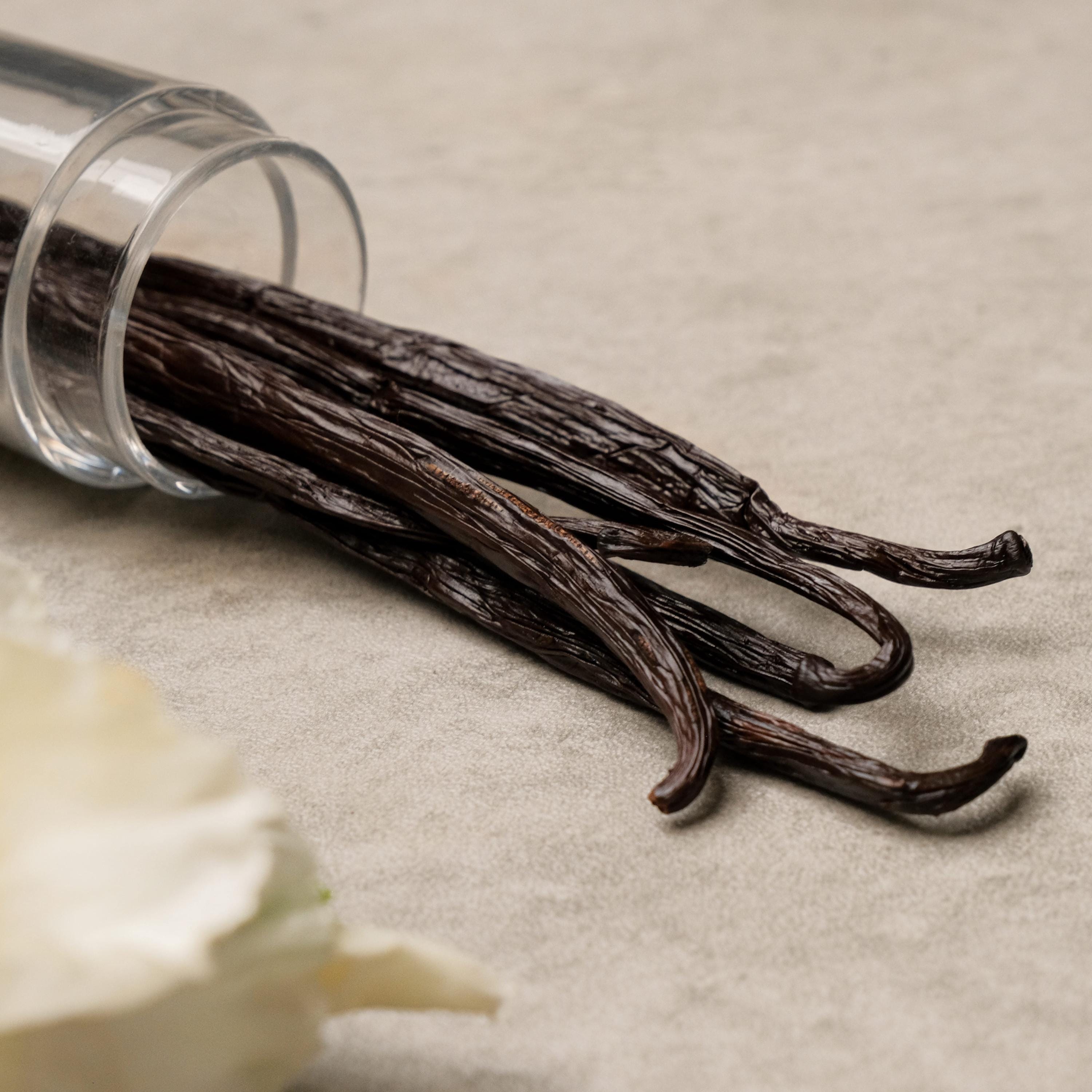 30 Vanilla Beans, Premium Vanilla, Vanilla Extract Beans, Baking ...
