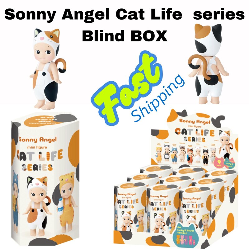 Cat Blind Boxes - Etsy