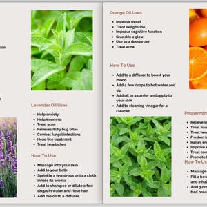 Essential Oils & Their Uses Printable Chart, Essential Oil Chart, Essential Oil Uses, Essential ...
