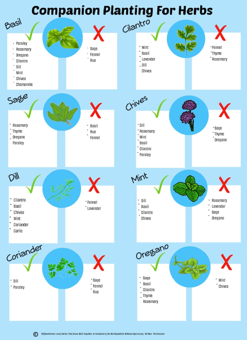 Companion Planting for Herbs Chart | Printable Gardening Guide for Herb ...