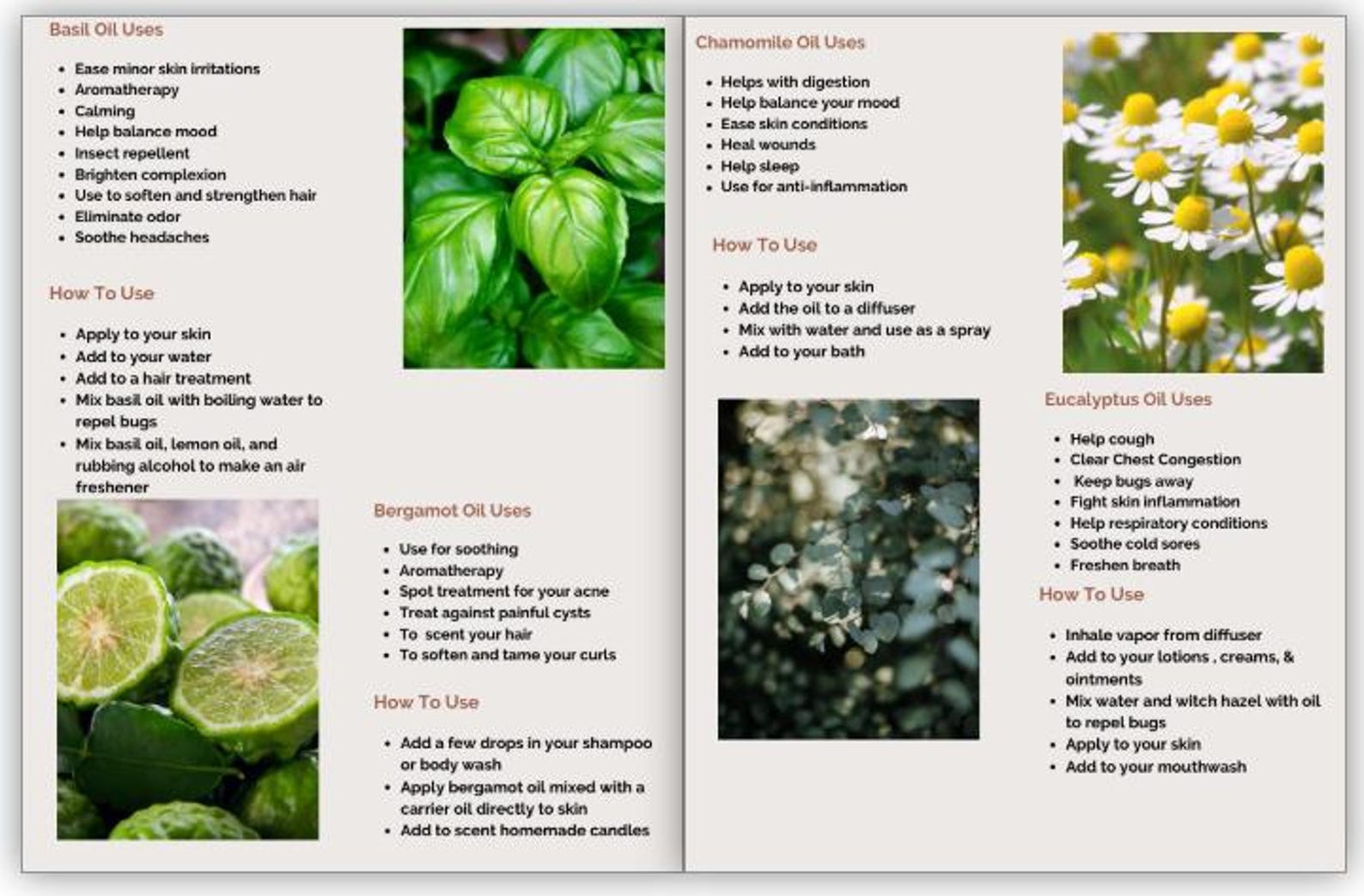 Essential Oils & Their Uses Printable Chart, Essential Oil Chart ...