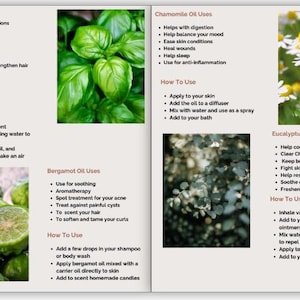 Essential Oils & Their Uses Printable Chart, Essential Oil Chart ...