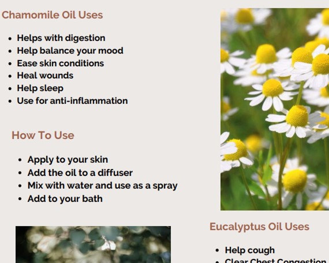 Essential Oils & Their Uses Printable Chart, Essential Oil Chart ...