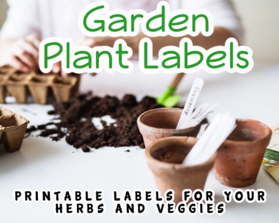 Printable Vegetable Garden Plant Labels, Garden Labels, Plant Labels ...
