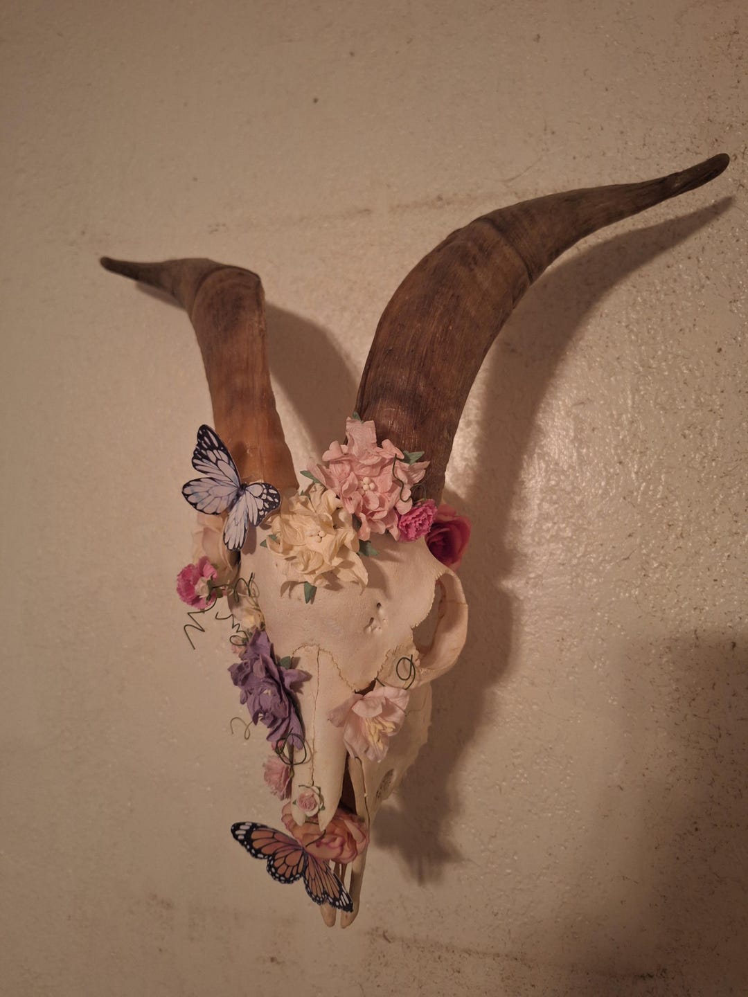 Decorated Euro Mount of a Goat - Etsy