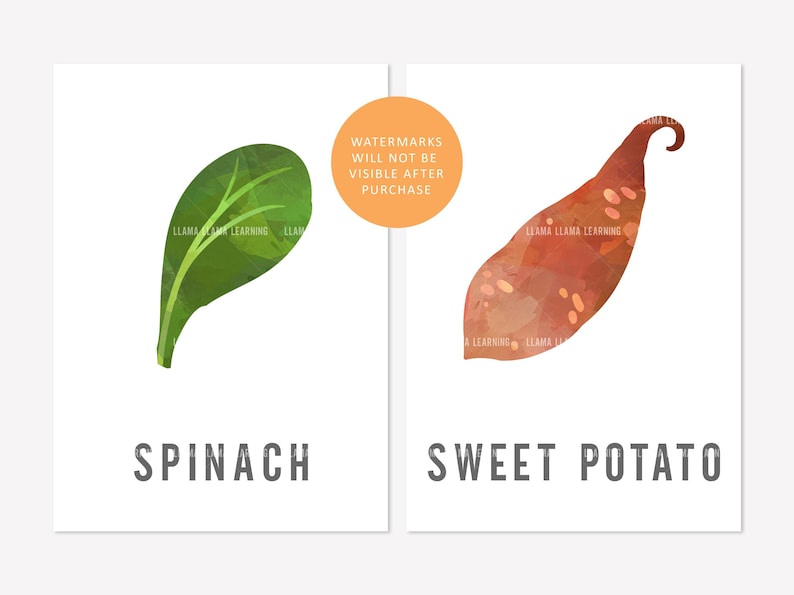 24 VEGETABLES Flashcards, Montessori Cards, Vegetable 3 Part Cards ...
