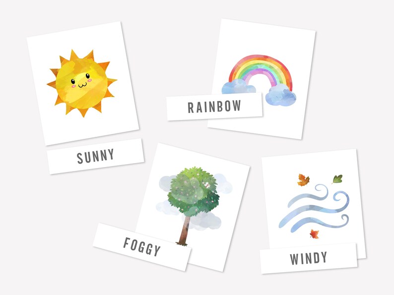 16 WEATHER Flashcards, Montessori Cards, Weather 3 Part Cards ...
