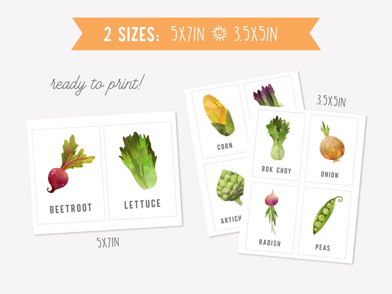 24 VEGETABLES Flashcards, Montessori Cards, Vegetable 3 Part Cards ...