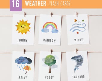 20 FRUITS Flashcards, Montessori Cards, FRUITS 3 Part Cards, Preschool ...
