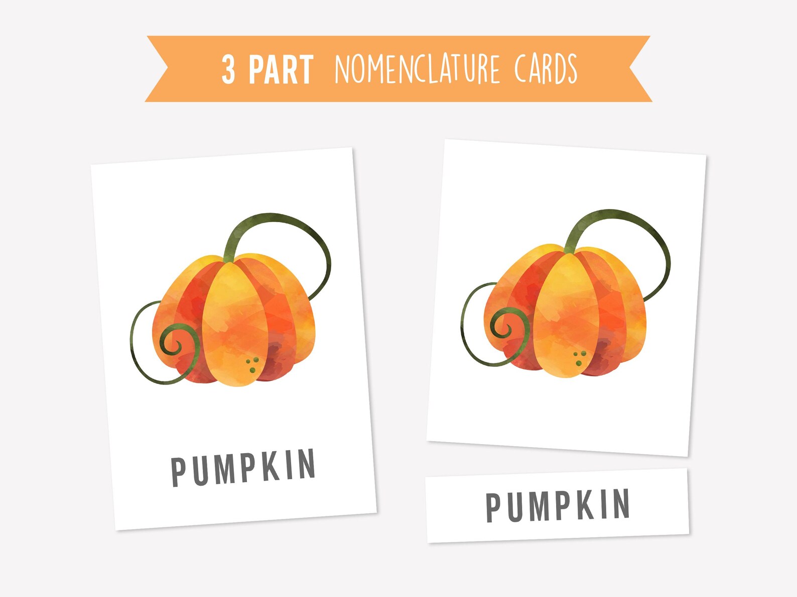 24 VEGETABLES Flashcards, Montessori Cards, Vegetable 3 Part Cards ...