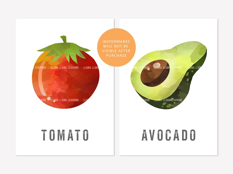 20 FRUITS Flashcards, Montessori Cards, FRUITS 3 Part Cards, Preschool ...