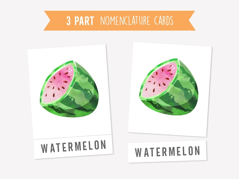 20 FRUITS Flashcards, Montessori Cards, FRUITS 3 Part Cards, Preschool ...