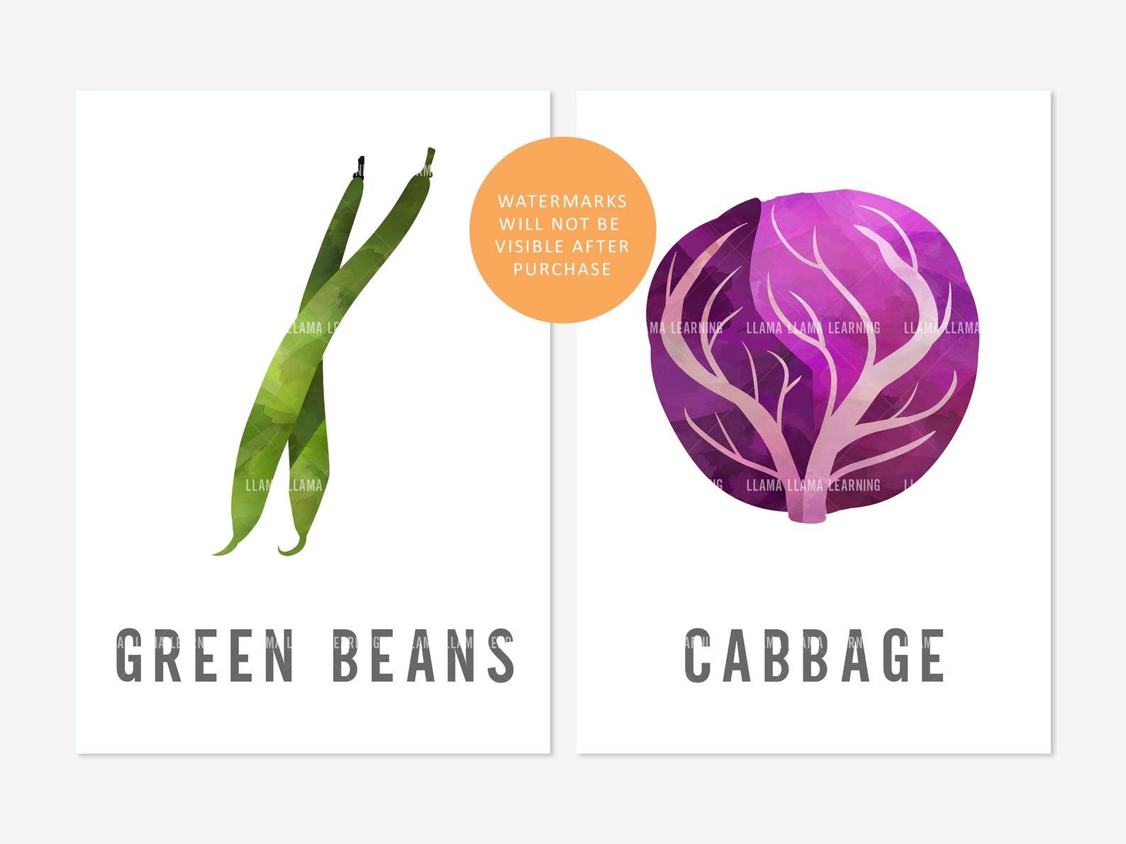 24 VEGETABLES Flashcards, Montessori Cards, Vegetable 3 Part Cards ...