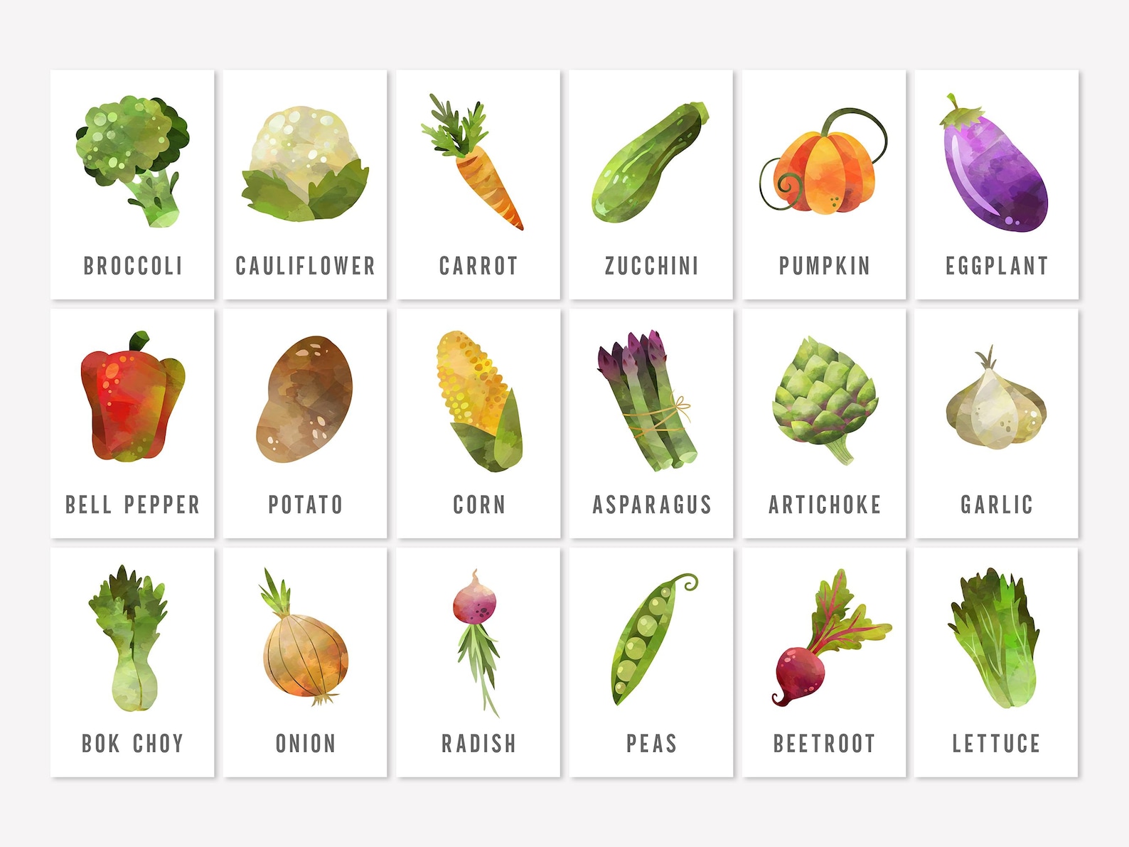 24 VEGETABLES Flashcards, Montessori Cards, Vegetable 3 Part Cards ...