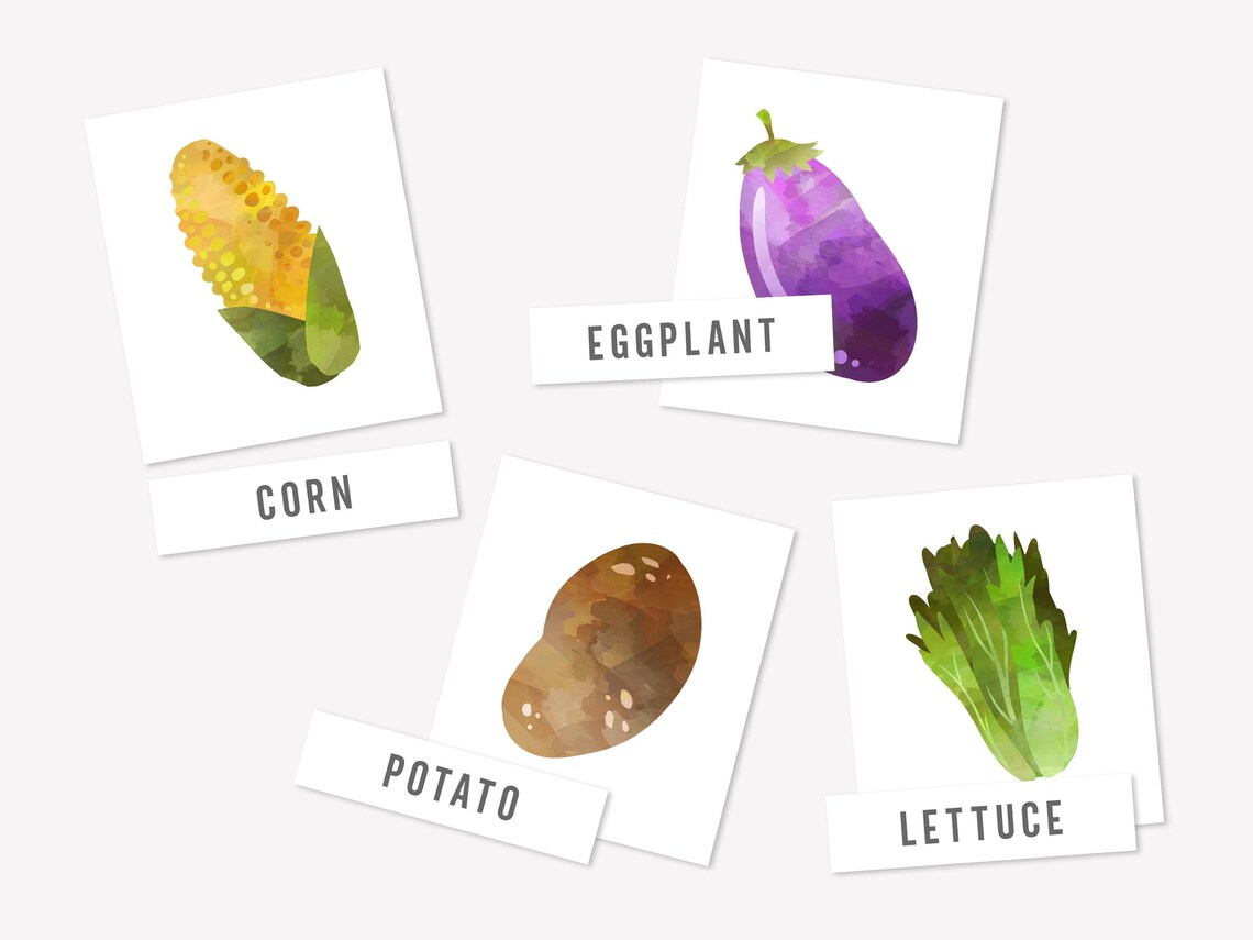 24 VEGETABLES Flashcards, Montessori Cards, Vegetable 3 Part Cards ...