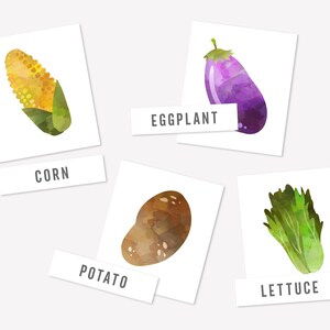 24 VEGETABLES Flashcards, Montessori Cards, Vegetable 3 Part Cards ...