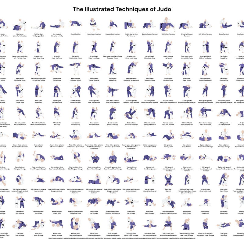 Judo Poster - Etsy