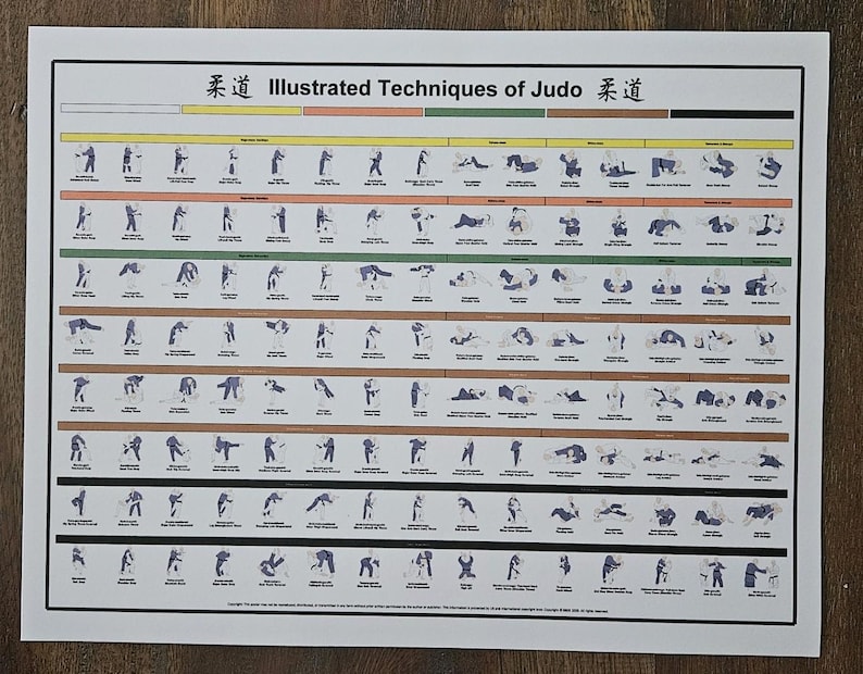 Techniques of Judo Poster – USJA Version - Etsy
