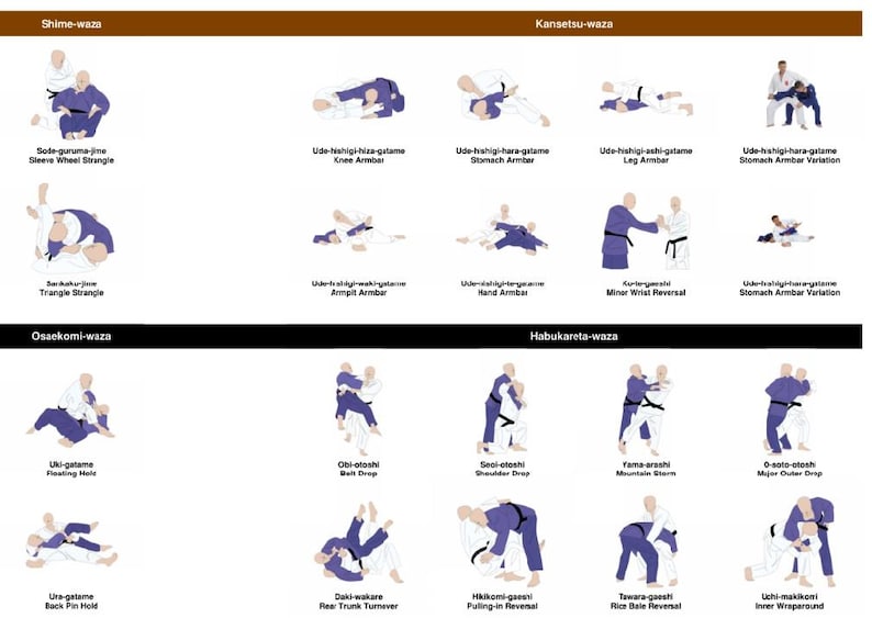 Techniques of Judo Poster – USJA Version - Etsy