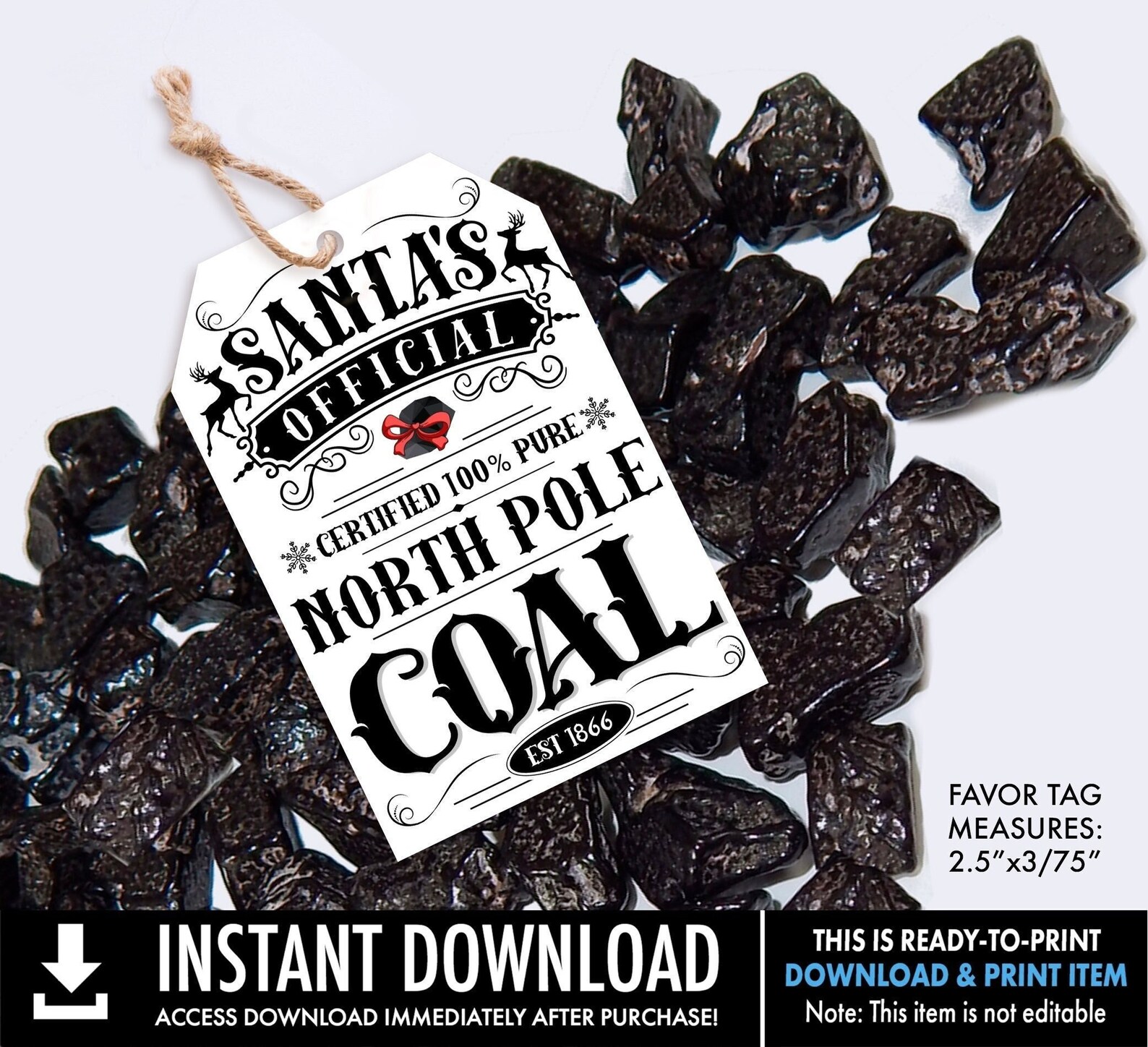 Christmas Coal Favor Tag Santa's North Pole Coal | Etsy