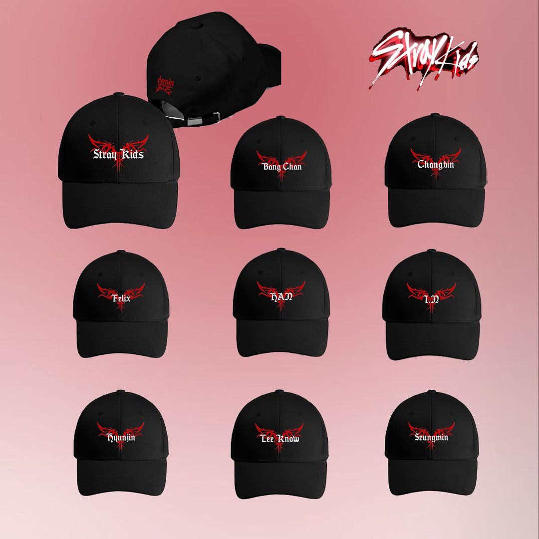 Stray Kids Dominate World Tour Embroidered Cap, SKZ Hat, Cute Stray ...