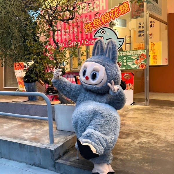 Labubu Adult Costume - Etsy