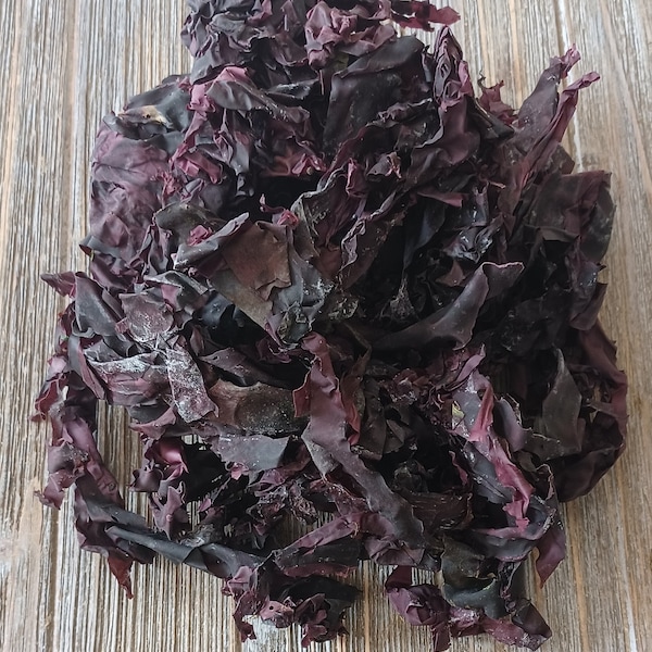 Red Seaweed - Etsy