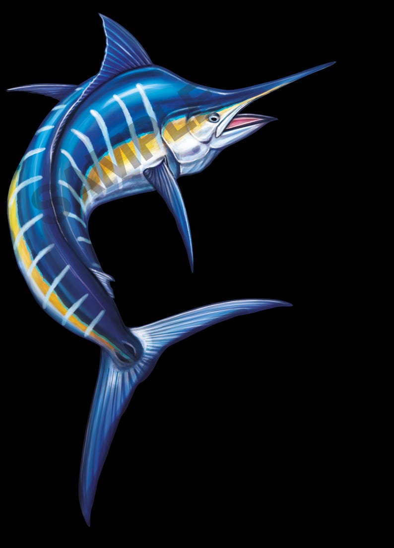 Marlin Action Shot Fish Fishing Big Game - Etsy